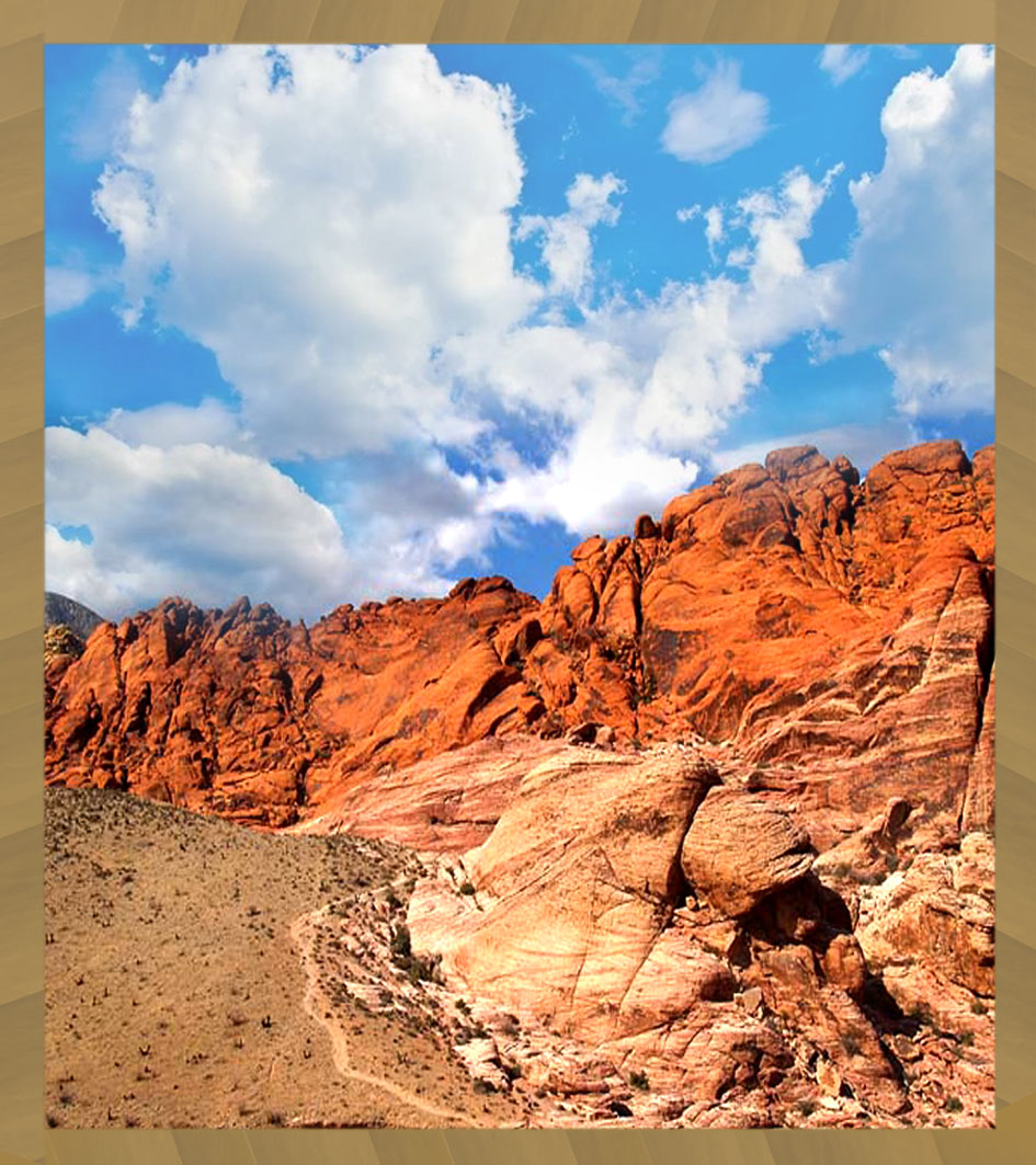 Services – Adeema Soil